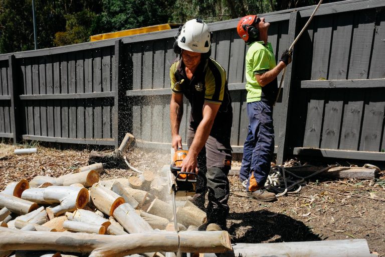 Why Use Professional Arborists? | Jim's Trees NZ